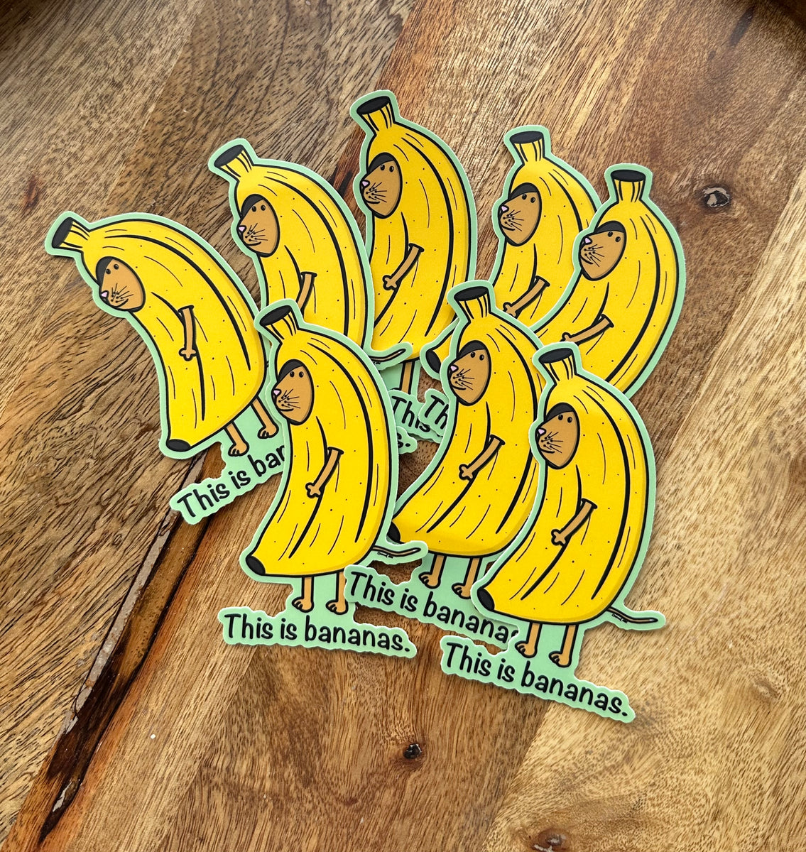 Bananas cat sticker – Coconut Moe